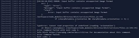 Sharp Input Buffer Contains Unsupported Image Format Causing Directus To Shutdown · Issue