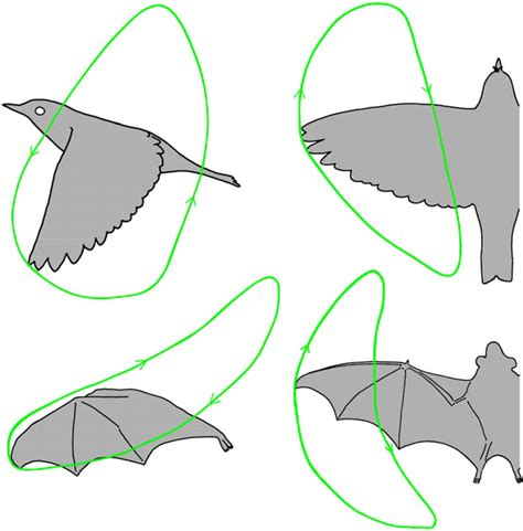 Small Flying Wings