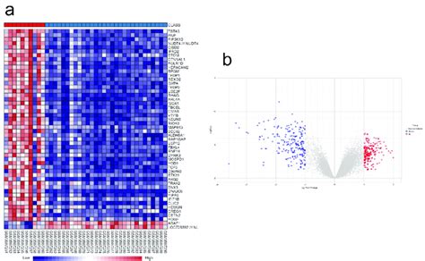 Identification Of DEGs In SONFH A Hierarchical Clustering Heat Map