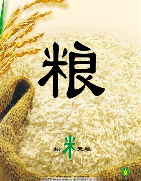 粮食安全展板图片 展板模板 广告设计 图行天下图库