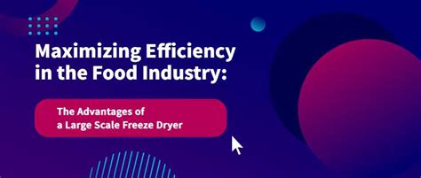 Maximizing Efficiency In The Food Industry The Advantages Of A Large