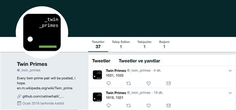 how to create a twitter bot with python3 and tweepy by halil cetiner