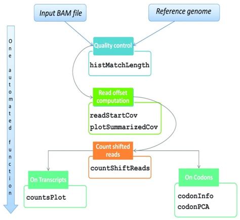 Riboprofiling A Bioconductor Package For Standard Ribo Seq Pipeline