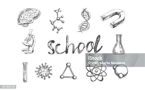학교로 돌아가기 손으로 그린 학용품 큰 스케치 세트 낙서 글자 및 학교 개체 수집 교육 개념입니다 빈티지 스케치 요소 벡터