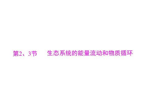 2019年高考新课标生物大一轮复习课件：必修3 第5章 第2、3节 生态系统的能量流动和物质循环 配套课件 Word文档在线阅读与下载无忧文档