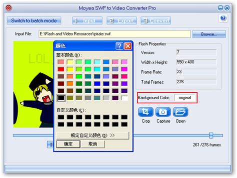 How To Edit A Flash SWF File During The SWF To Video Conversion