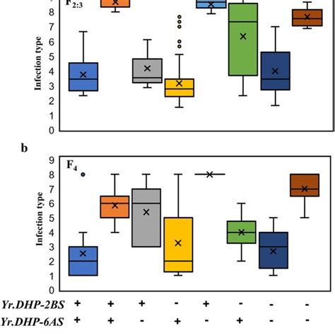Effects Of Qtl Combinations In F23 And F4 Populations Obtained From