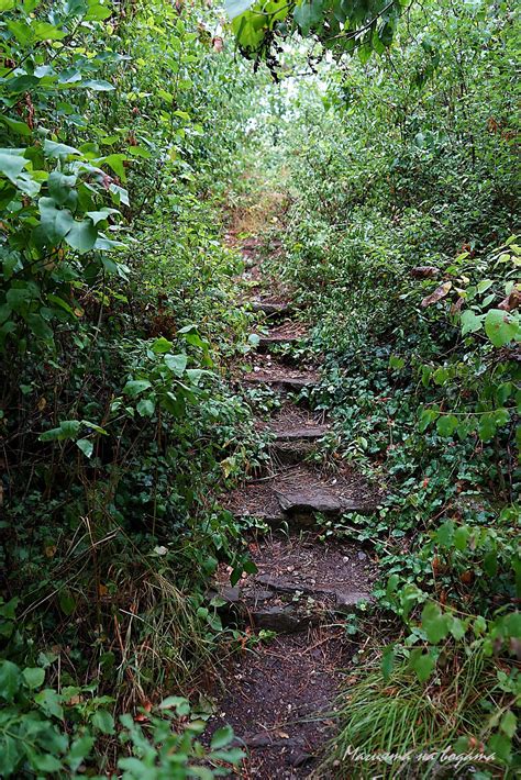 Невероятно синият "Глава Панега" - най-големият карстов извор в ...