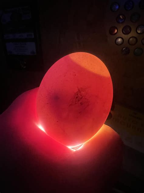 First Time Incubating Duck Eggs R Duck