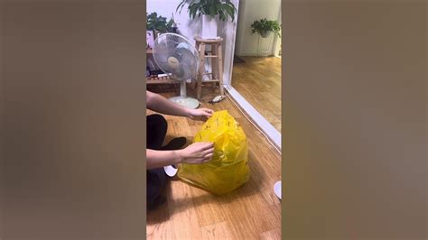 고양이 납치사건 범인은 누구 Youtube