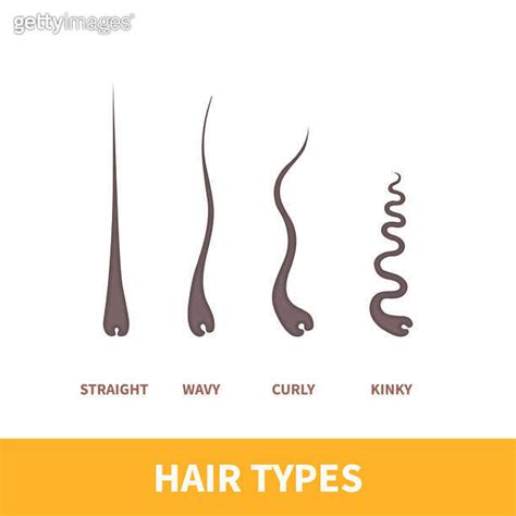 Hair Types Chart Set Of Strands Growth Patterns 1443261908 일러스트 무료 일러스트 게티이미지뱅크