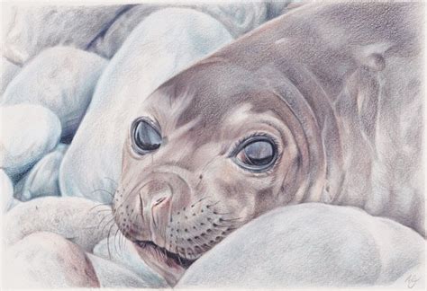 Ukcps Abigail Gingele