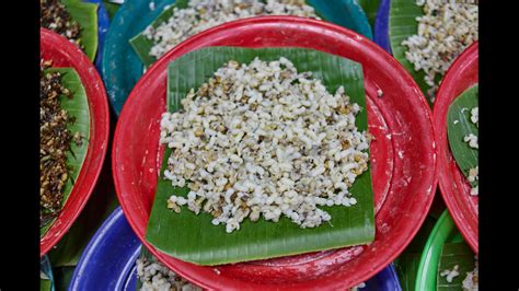 Най странните ястия по света Nova Bg