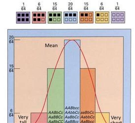 Difference Between Pleiotropy And Polygenic Inheritance Definition Features Examples