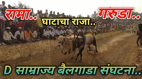 Dसाम्राज्य बैलगाडा संघटना रेकॉर्ड ब्रेक घाटाचा राजा१२२९ खडकी