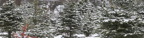 Purdue Extension Forestry And Natural Resources
