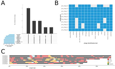 A The Upset Plot Is Summarizing The Identification Performance Of
