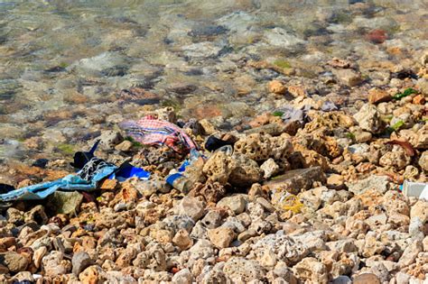 바다의 은행에 쓰레기 바다의 오염 폐기물과 바다 물 플라스틱 쓰레기 플라스틱 쓰레기와 바다 바다와 강 해안선의 오염의 개념 0명에 대한 스톡 사진 및 기타 이미지 Istock