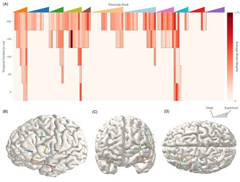 A Spatio Temporal Decoder Activations Averaged Across 9 Classes And Download Scientific
