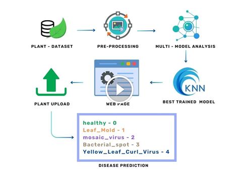 Plant Disease Detection Using Machine Learning Techniques Final Year Project
