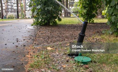 녹색 공원에서 작동하는 잔디 관개 시스템 더운 날씨에 물로 잔디를 살포 자동 스프링클러 잔디에 물을 자동 급수 스프링클러 머리 스마트 가든 관 튜브에 대한 스톡 사진 및