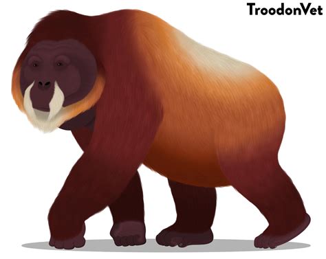 Indonesian Fauna Gigantopithecus Blacki Male By Troodonvet On Deviantart Indonesian Fauna Gigantopithecus Blacki Male By Troodonvet On Deviantart