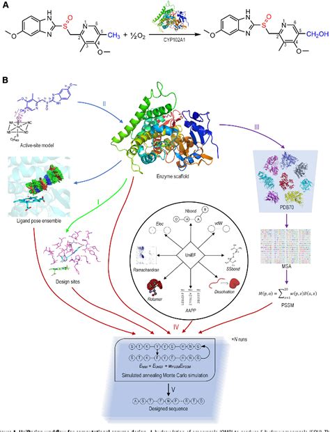 figure 1 from computational redesign of cytochrome p450 cyp102a1 for