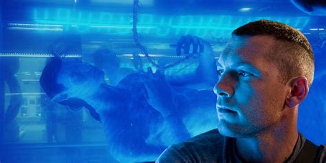 Película Avatar Crítica Avatar