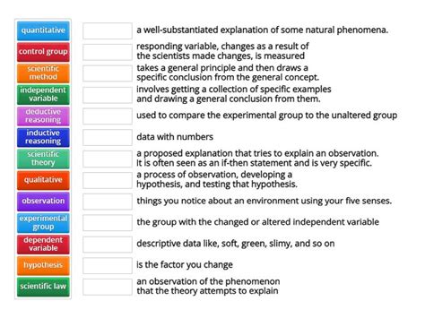 15 The Scientific Method Une Las Parejas