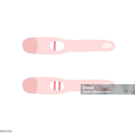 임신 테스트 부정 및 긍정적 인 결과 그림 임신 또는 임신하지 않은 개념 0명에 대한 스톡 벡터 아트 및 기타 이미지 0명 건강 검진 건강 검진 결과 Istock