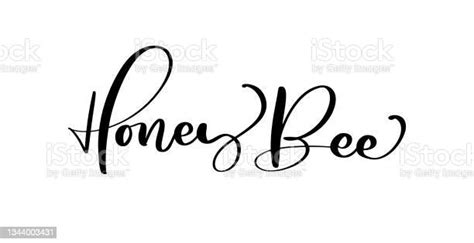 꿀벌 서예 벡터 문자 텍스트 흰색 배경에 고립 된 검은 색으로 꿀벌 손 문자 단어 로고 카드 타이포그래피 포스터 인쇄용 컨셉