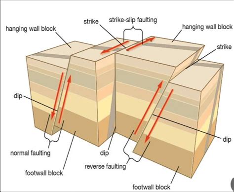 Types Of Faults In Tectonic Plates 5 Download Scientific Diagram Types Of Faults In Tectonic Plates 5 Download Scientific Diagram
