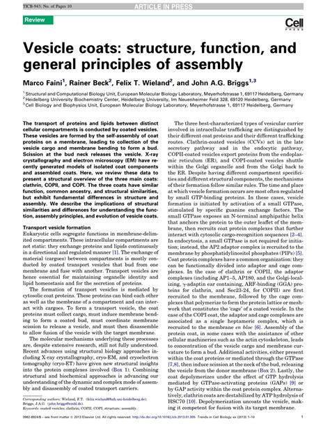Pdf Vesicle Coats Structure Function And General Principles Of