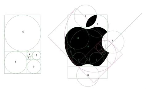 Fibonacci What Is The Fibonacci Sequence Flowers Pinecones Shells Fruits Hurricanes And