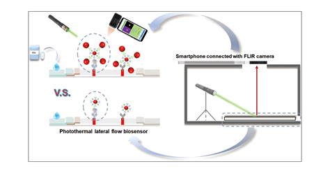 Double Enhanced Photothermal Lateral Flow Biosensor Based On Dual Gold