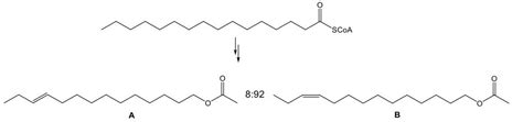 solved suggest a biosynthetic route to a and b from the sex