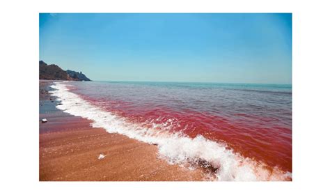Creating A Cool Image Hover Effect With Html And Css Cslab Coding