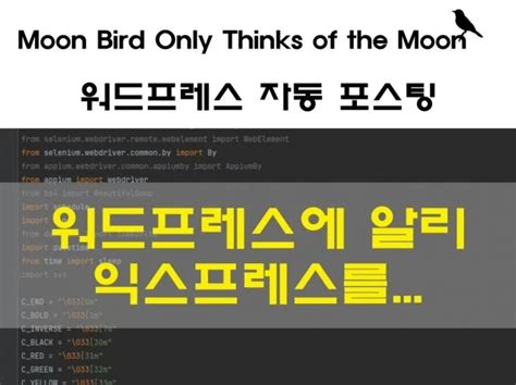 워드프레스에 알리익스프레스 어필리에이트 자동 포스팅 크몽