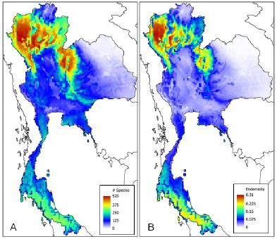 A Species Densities Per Grid Cell Derived From The Species Download Scientific Diagram