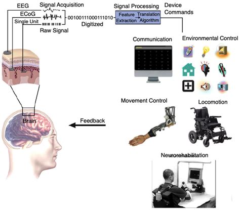 brain sciences free full text summary of over fifty years with brain computer interfaces—a