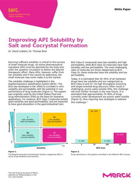 Improving Api Solubility Wp12169en Mk Pdf Acid Acid Dissociation