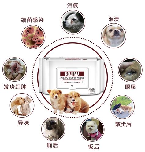 日本新款纯棉KOJIMA宠物狗猫银离子纸去泪痕湿纸巾80片犬用清洁 虎窝淘