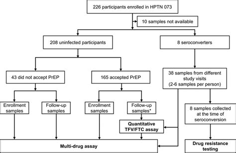 Flow Chart Of Laboratory Testing All Samples From 208 Uninfected