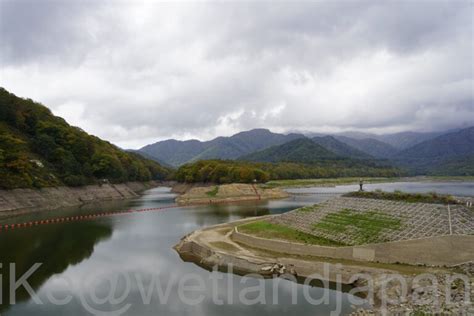 湿原ってどんなところ 湿地湿原湖池と区別しよう