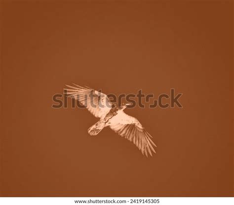 Passive 2024 Over 6 Royalty Free Licensable Stock Illustrations And Drawings Shutterstock