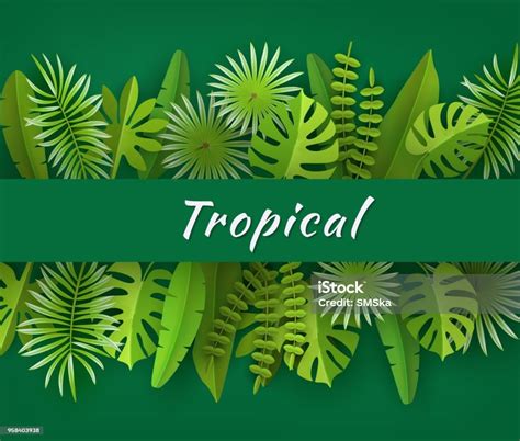 열 대 잎과 식물입니다 열 대 경 엽와 녹색 추상적인 배경입니다 종이 잘라 벡터 일러스트 레이 션 0명에 대한 스톡 벡터 아트 및 기타 이미지 Istock