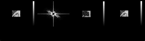 Reconstruction Of A Diffraction Pattern With Missing Central Data A Download Scientific
