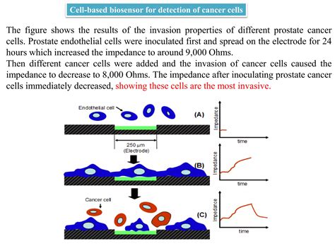 Cell Based Biosensor Lecture PPTX Chemistry Science