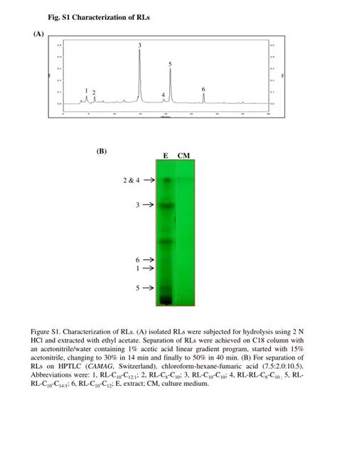 PPT 2 4 PowerPoint Presentation Free Download ID 5693118