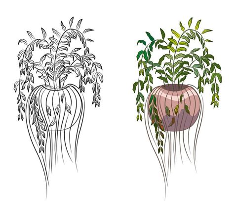 Wilting Plant Vector Art Icons And Graphics For Free Download